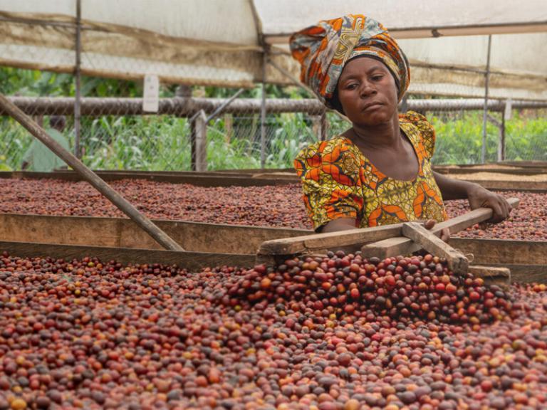 Our Opportunities / ED&F Man Commodities